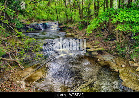Long exposure of a forest river with moss-covered rocks, flowing water ...