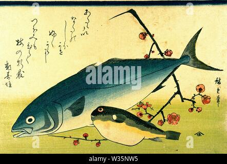 Fugu and Inada Fish, from the series Uozukushi (Every Variety of Fish ...