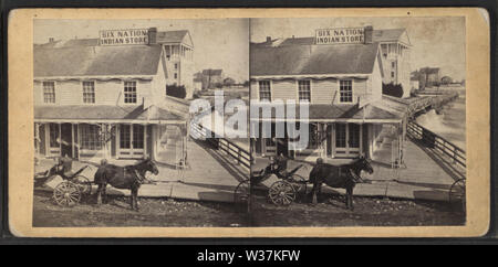 The Rapids, rear of the Cataract House, by E & HT Anthony (Firm) 2 ...