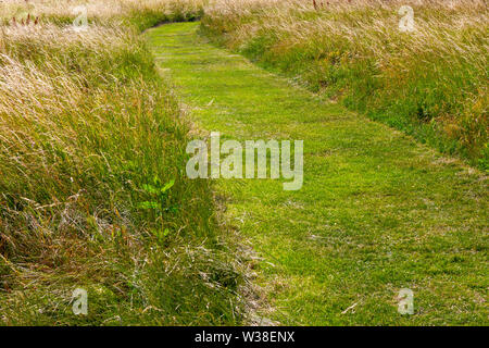 Mowed path Stock Photo: 25536525 - Alamy