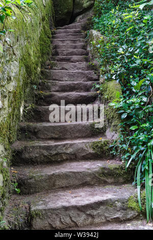 Old stone carved steps in Madrid. Winter forest in Spain Stock Photo ...