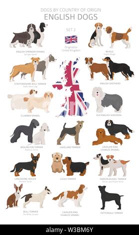 Dogs by country of origin. English dog breeds. Shepherds, hunting ...