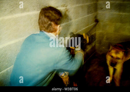 Zonn 4 a security firm using mad killer dogs, Lyon, France Stock Photo ...