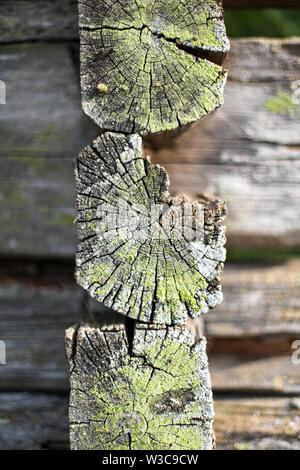 Squared logs with interlocking double-notch joints, the timber ...