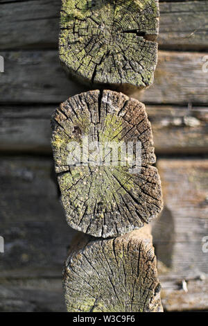 Squared logs with interlocking double-notch joints, the timber ...