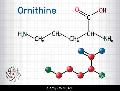 Ornithine non-proteinogenic amino acid molecule, is used in the urea ...