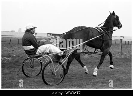 Tommy Marshall riding Hanover Way. Harness racing (Trotting) at Bogside ...