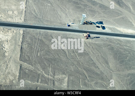 Lizard, Tree and Hands Images at Nazca Lines in Peru Stock Photo - Alamy