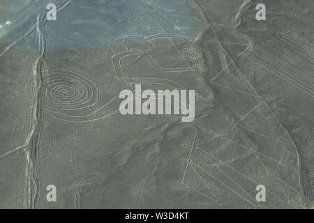 The Monkey, Nazca Lines, Nasca geoglyphs, UNESCO World Heritage site ...