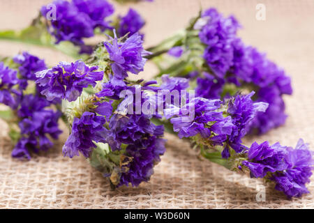 Dark Purple Statice (Limonium sinuatum) Flowers in clear glass vase on ...