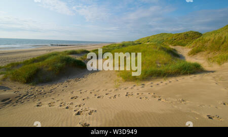Beach at Hargen aan Zee in the north of netherland Stock Photo - Alamy