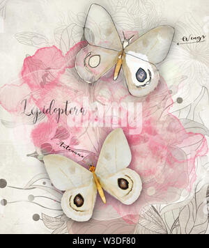 Butterflies fly watercolor. Vintage illustration wings Stock Photo - Alamy