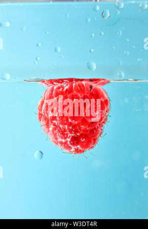 Beautiful raspberry in water with bubbles, isolated on white Stock ...