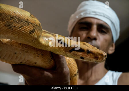 Karmei Yosef, Israel. 15th July, 2019. Israeli snake handler, breeder ...