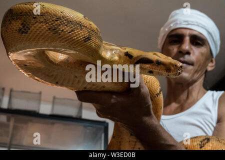 Karmei Yosef, Israel. 15th July, 2019. Israeli snake handler, breeder ...