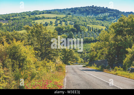 Country road with trees. Road among grassed fields. Landscape ...