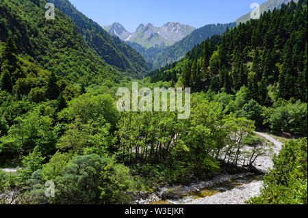 Gorge and forest at the area of Agrafa mountains in Thessaly, Greece ...