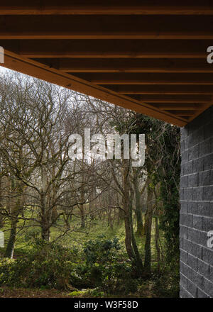 Timber canopy and view towards woodland. Staff Residences at The Europe ...