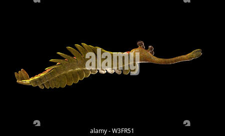 Cambrian Opabinia - Opabinia was a carnivorous marine fish that lived ...