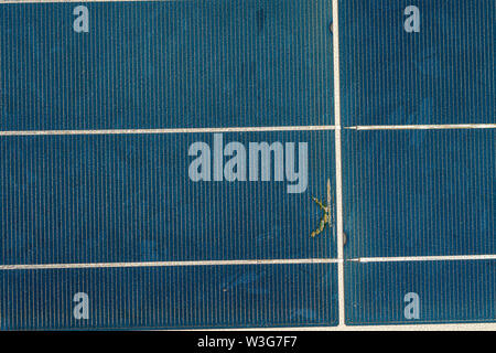 Snail trails defects in Solar Energy Modules because of corroion in ...