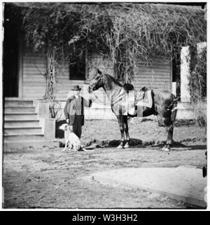 City Point, Virginia. Gen. Rufus Ingalls in buggy with colored boy ...