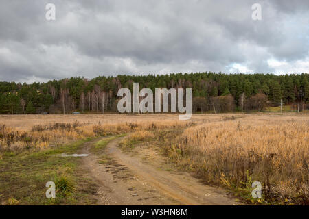 Country road rut with puddles through agricultural field Stock Photo ...
