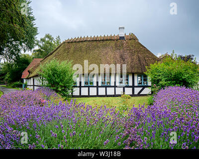 Traditional danish farm house or rural agriculture building ...