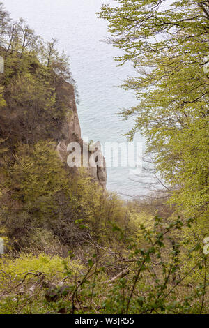 The white cliffs of Mons Klint in Denmark Stock Photo - Alamy