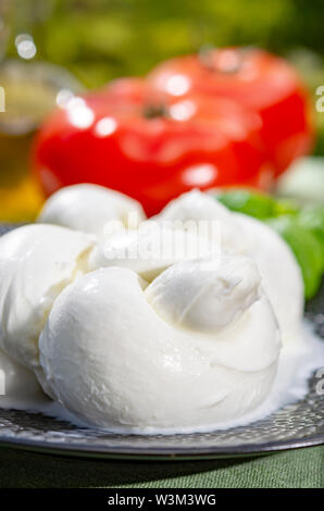 Twisted fresh Italian mozzarella Treccia. Italian soft cheese close up ...