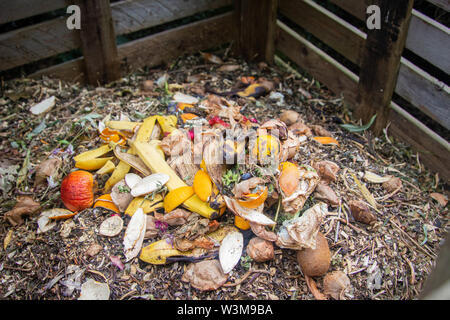 Compost bin - before and after - fresh food waste placed on top of ...