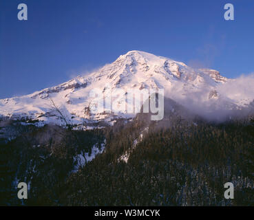 Snowy forest, Mt. Rainier National Park, Washington, USA Stock Photo ...