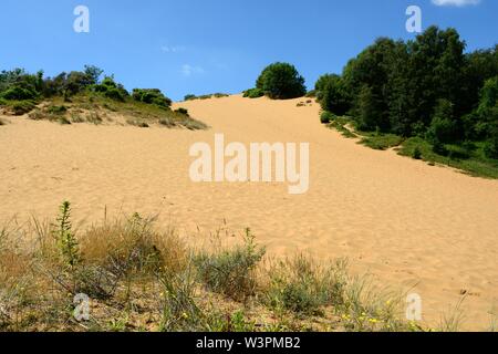 Big Dipper sand dune Merthyr Mawr reaching 200 feet high Glamorgan ...