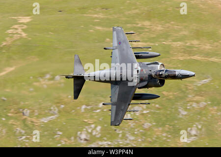 raf harrier low flying in the mach loop Stock Photo - Alamy