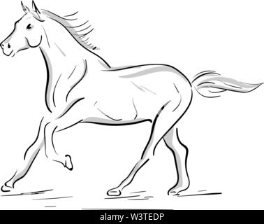 A vector illustration of a beautiful running horse drawing Stock Vector ...