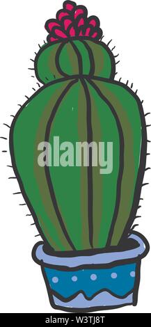 Prickly cactus in cartoon style isolated on white background ...