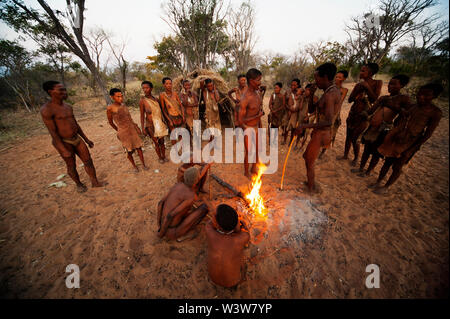 Ju/'Hoansi or San bushmen performing a ceremonial dance at their ...