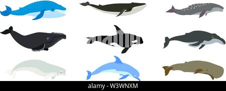 Whale blue tale fish icons set. Simple illustration of 9 whale blue ...