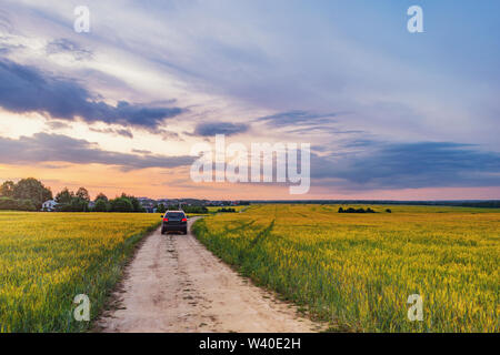 Field with rye and road at sunset time Stock Photo - Alamy