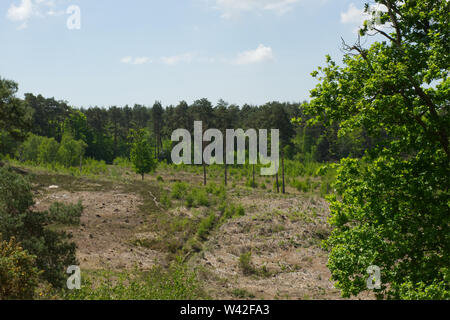 View over Pulborough Brooks nature reserve in West Sussex, England ...