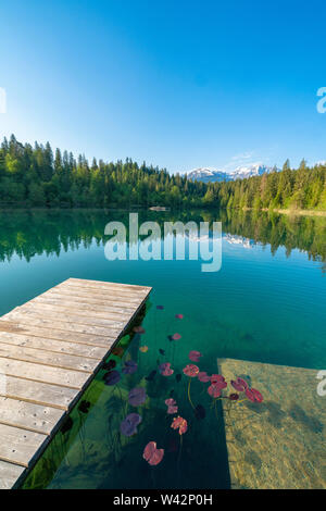 Crestasee Lake in the Swiss Alps Stock Photo - Alamy