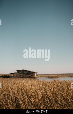 Beautiful little old abandoned wooden mountain house, hut surrounded by ...