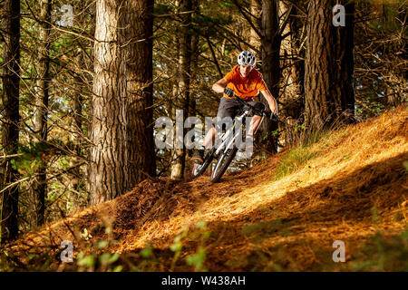 A man rides his bike through a forest in Wehrheim near Frankfurt ...