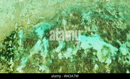 Coral reef texture background in Lakshadweep island India Stock Photo ...