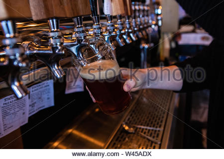 A barman pulling a pint of draught beer real ale, in a pub UK Stock ...