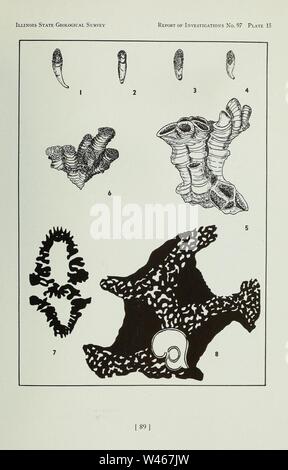 Image from page 89 of 'In Old New York . Illustrated' Stock Photo - Alamy