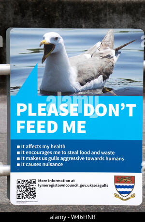 Do Not Feed The Seagulls seaside sign England UK Stock Photo - Alamy