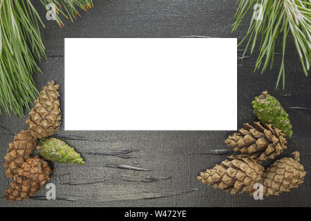 A black background with a pine motif. Cones and needles of a tree ...