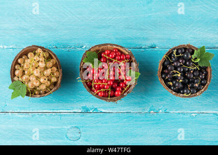 Red and black currant in bowls isolated on white Stock Photo - Alamy