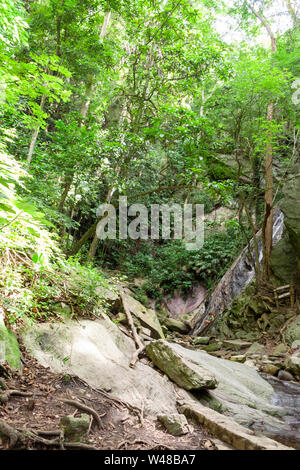 View of Quintero's Ravine or Quebrada Quintero from the iconic mountain ...