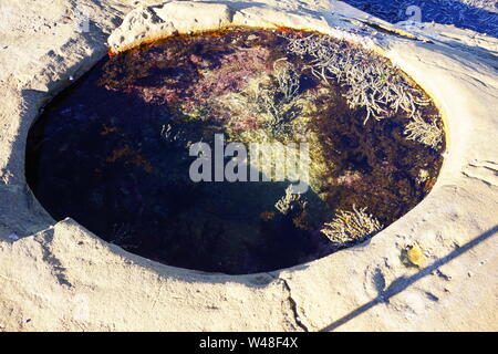 Bellambi Point rock pools Stock Photo - Alamy